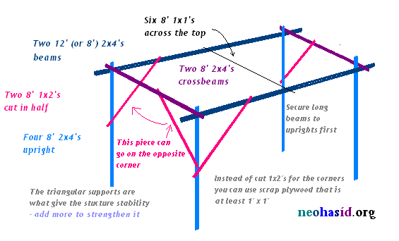 NeoHasid.org | How to Build a Sukkah For Under $40!